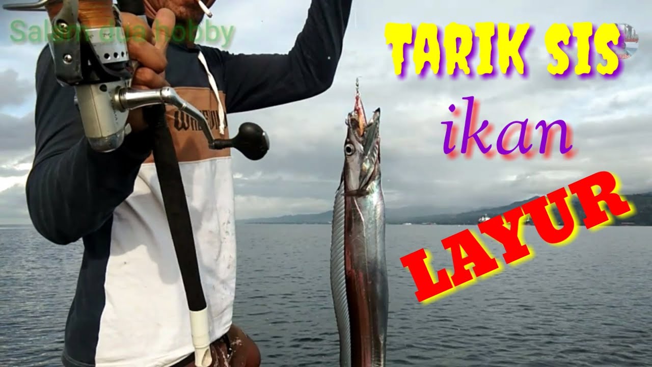 TARIK SIS:ikan layur dan ikan hiu, Ikan layurya dimasak.ikan hiu di ...