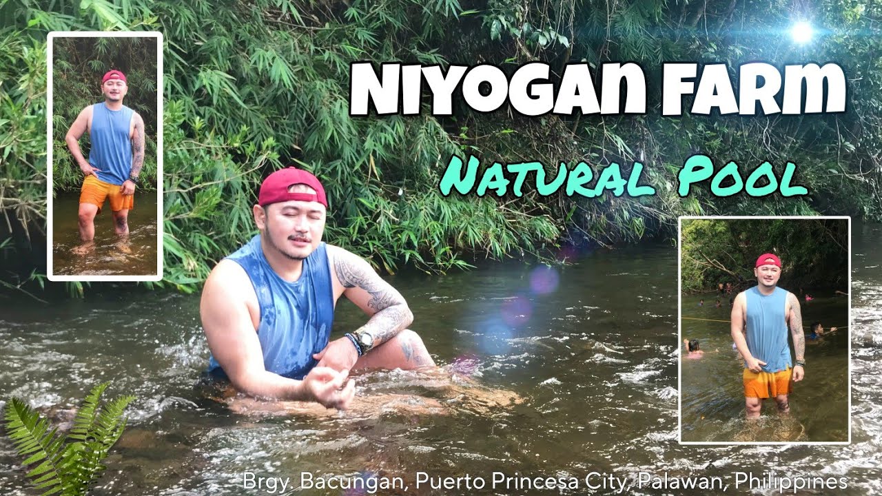 Niyogan Farm Natural Pool | Bacungan, Puerto Princesa City, Palawan ...