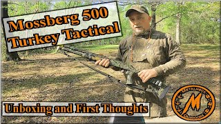 Mossberg 500 Tactical Turkey Unboxed Fired and Reviewed | Doovi