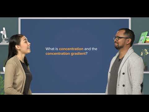 3.01 Diffusion | Cambridge IGCSE Biology | GCSE O Level | My Second Teacher