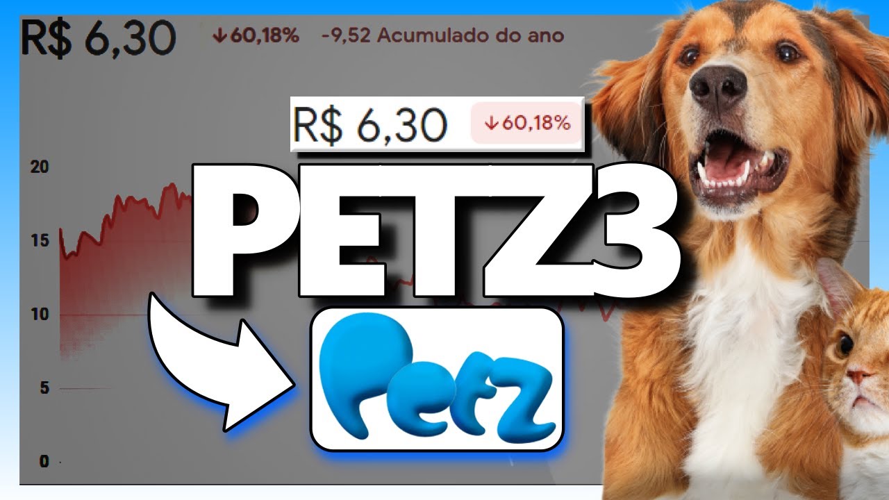 PETZ3: QUANDO VOLTAR A INVESTIR NA PETZ - YouTube