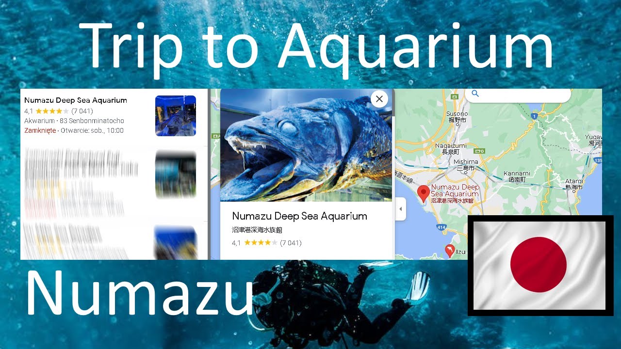 "Explore the Deep Sea at Numazu Aquarium" - YouTube