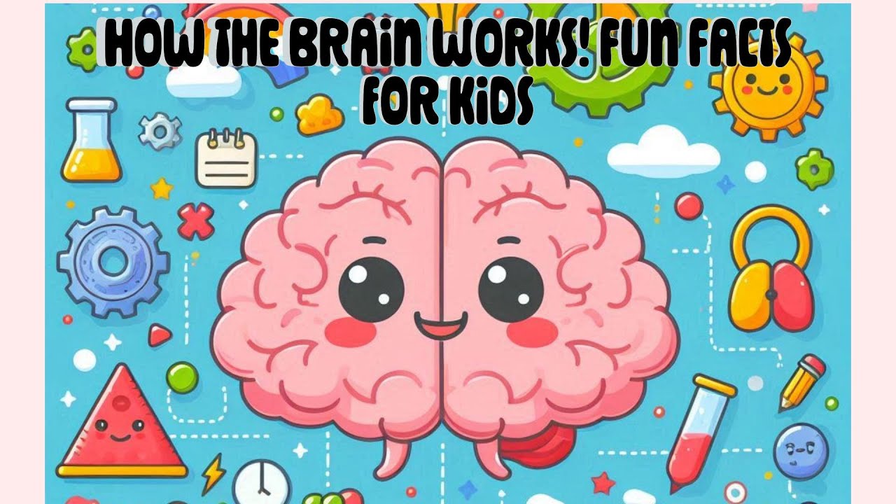 How the Brain Works! 🧠 Fun Facts for Kids #kidsvideo #science # ...