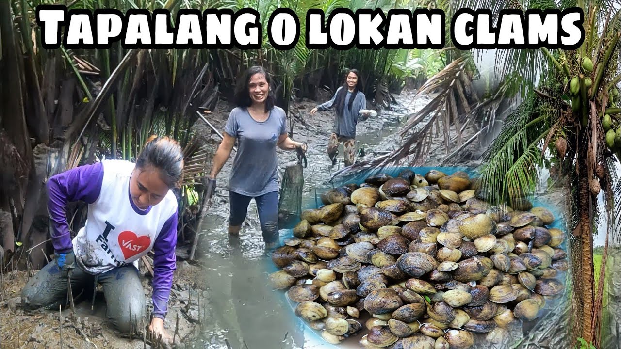 Inabot Ng kulog at kidlat sa pangunguha Ng Tapalang/[catch&cook ...