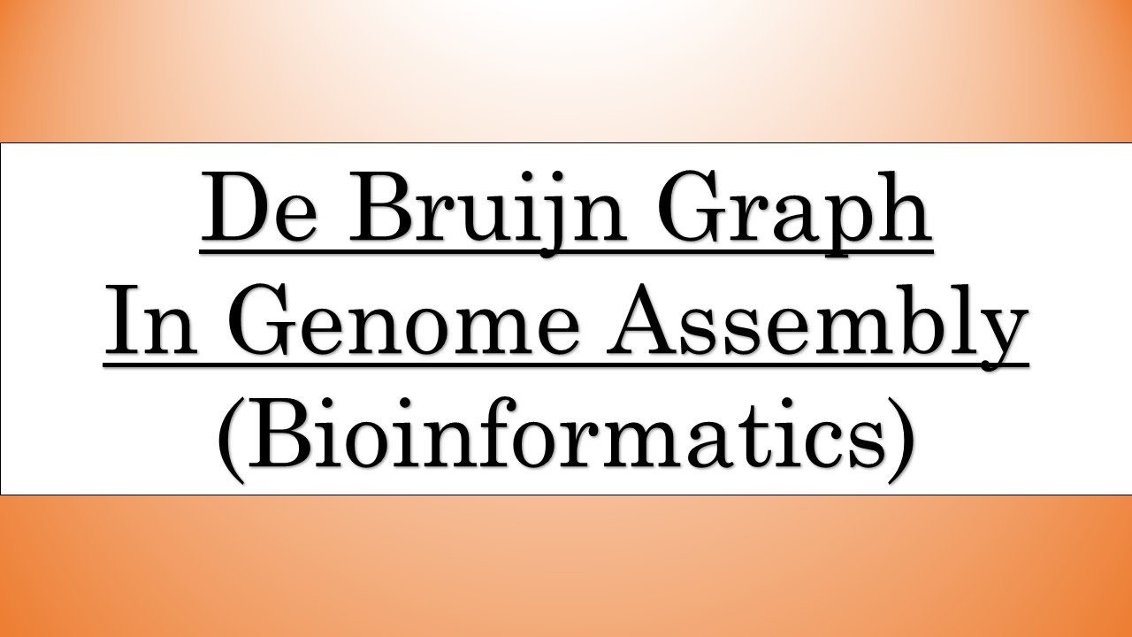 De Bruijn Graph In Genome Assembly | Bioinformatics [ Bangla ] - YouTube