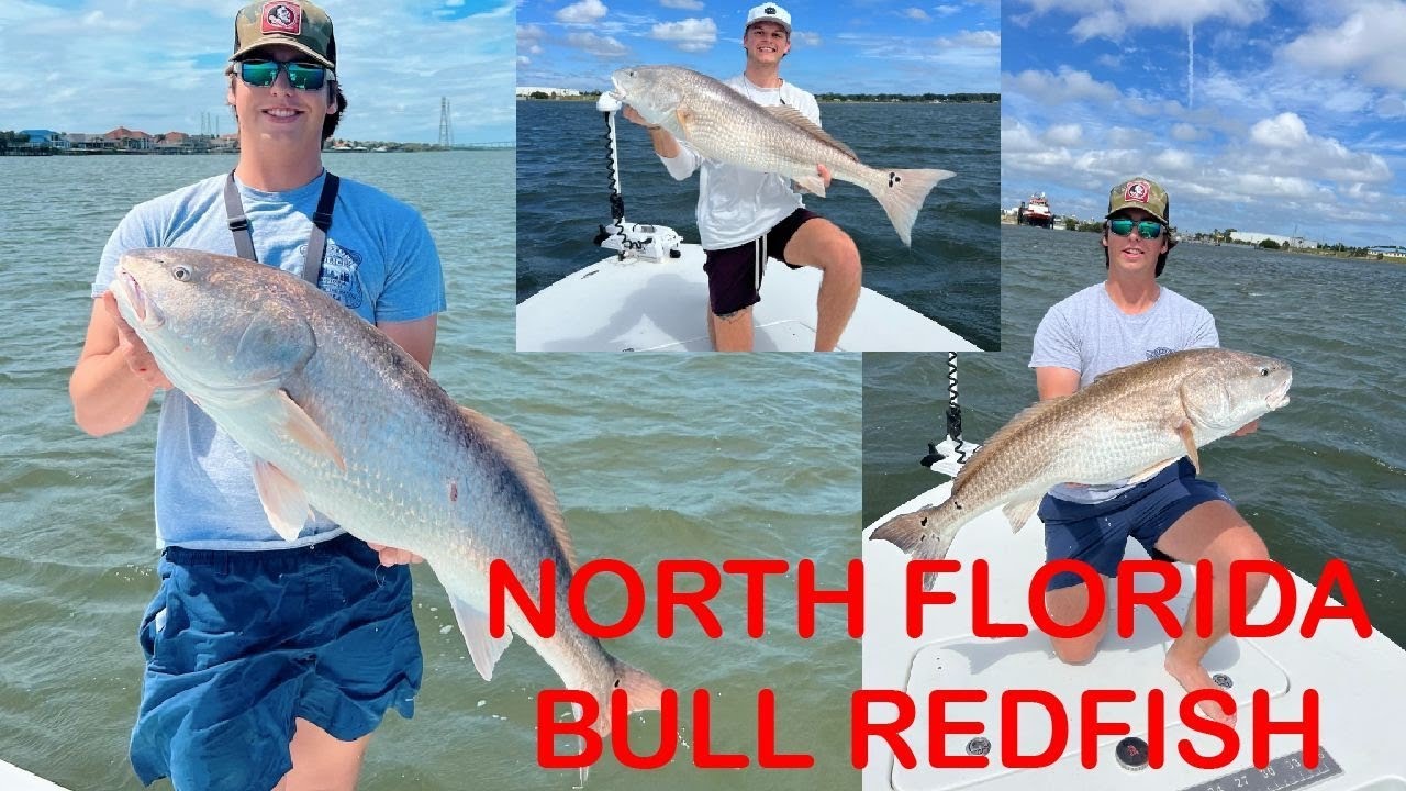 North Florida Bull Redfish! - YouTube