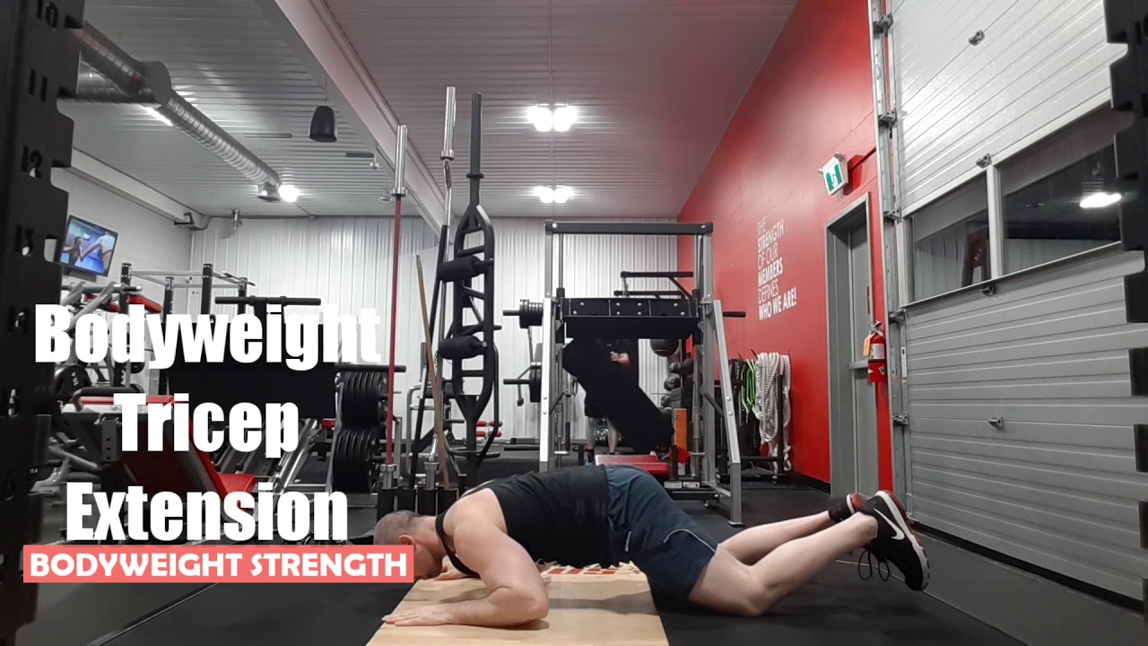 Bodyweight Tricep Extensions - YouTube