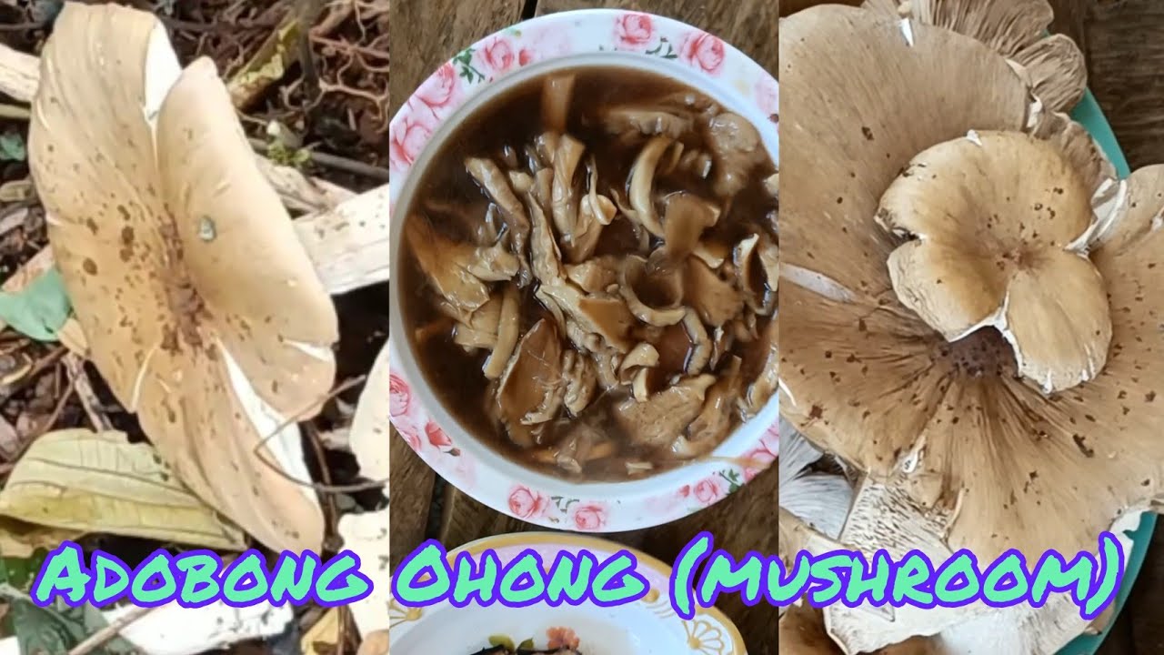 ADOBONG OHONG (MUSHROOM) - YouTube