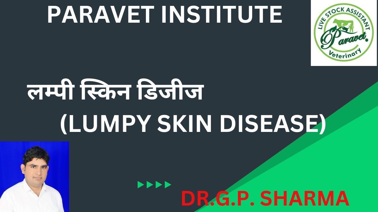 लम्पी स्किन डिजीज (LUMPY SKIN DISEASE) By Dr. G.P. Sharma - YouTube