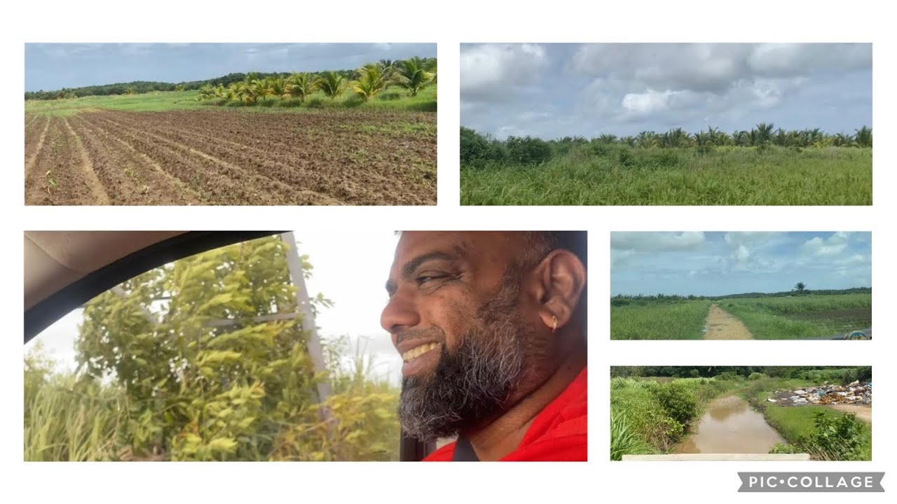 Exploring Beautiful Felicity with Dinesh. - YouTube