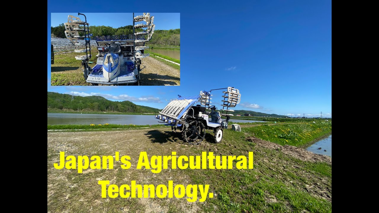 HIGH-TECH RICE PLANTING MACHINE HERE IN JAPAN. buhay japan - YouTube