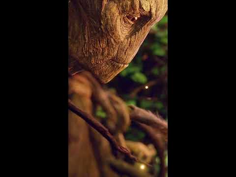 The Groot best scene WhatsApp status HD best scene 4k - YouTube