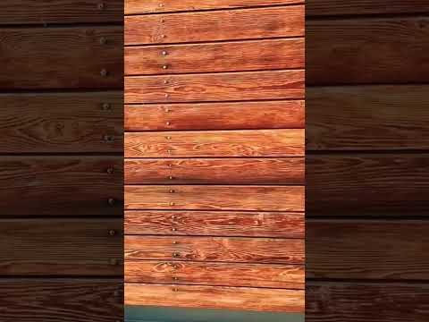 Elizabeth Vasilenko & TIM , 🌍❤️💞 (CRAZY LOVE)🙈❤️