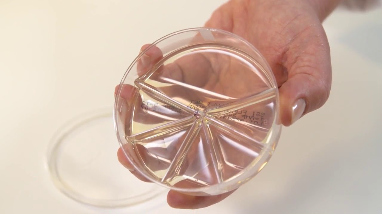 SSI Flexicult tilsaaning Dk - YouTube