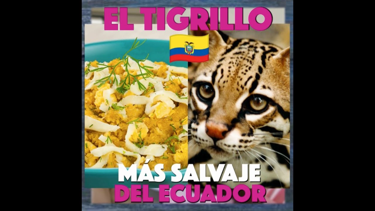 El Origen Del Tigrillo: Un Viaje Culinario A Través de su Historia ...