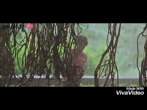 What's up stats video/ Malayalam album song video