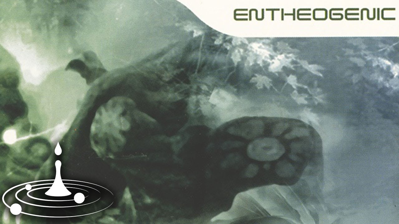 Entheogenic - We Are One - YouTube