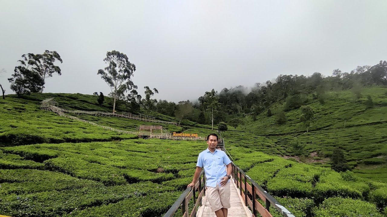 Wisata Baru !!! Bukit Jamur Rancabolang Ciwidey || Bandung - YouTube