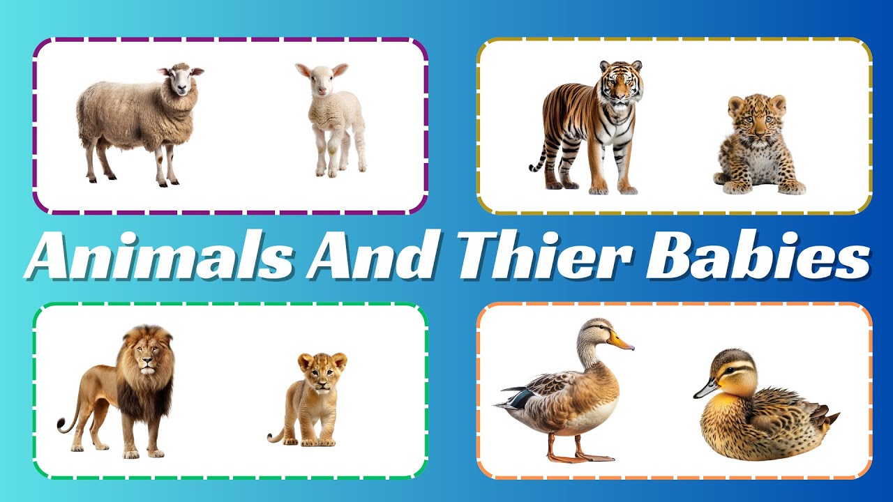 Animals And Their Babies | Animals And Their Young Ones | Baby Animals ...