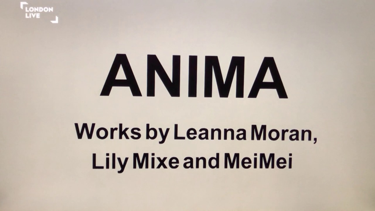 ANIMA Exhibition, London Live Interview - YouTube