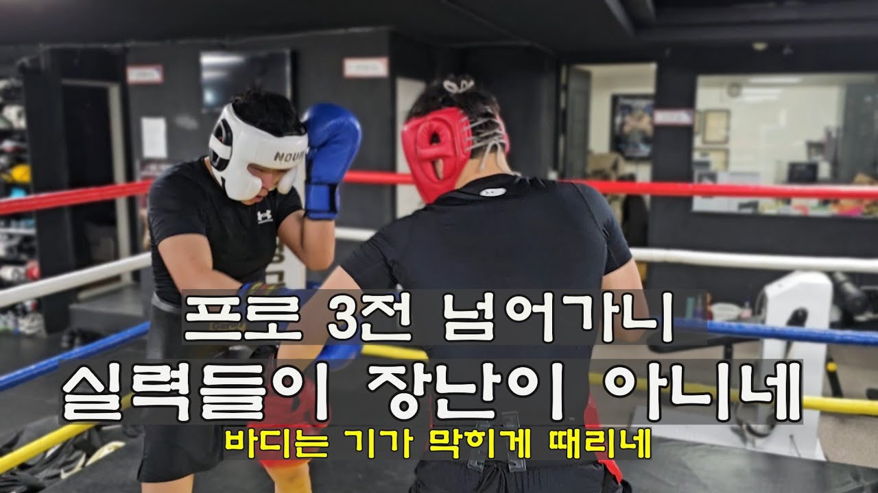 프로 3전 넘어가니 실력들이 장난이 아니네 바디는 기가 막히게 때리네 Boxing 스파링 권투 복싱 챔피언 유산소