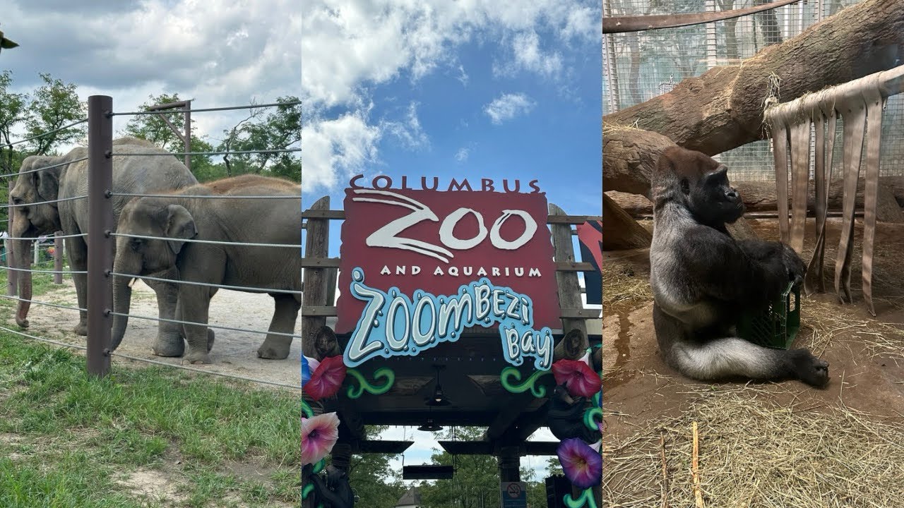 OUR ADVENTURE AT THE COLUMBUS ZOO🐘 | OHIO’S TOP ZOO - YouTube