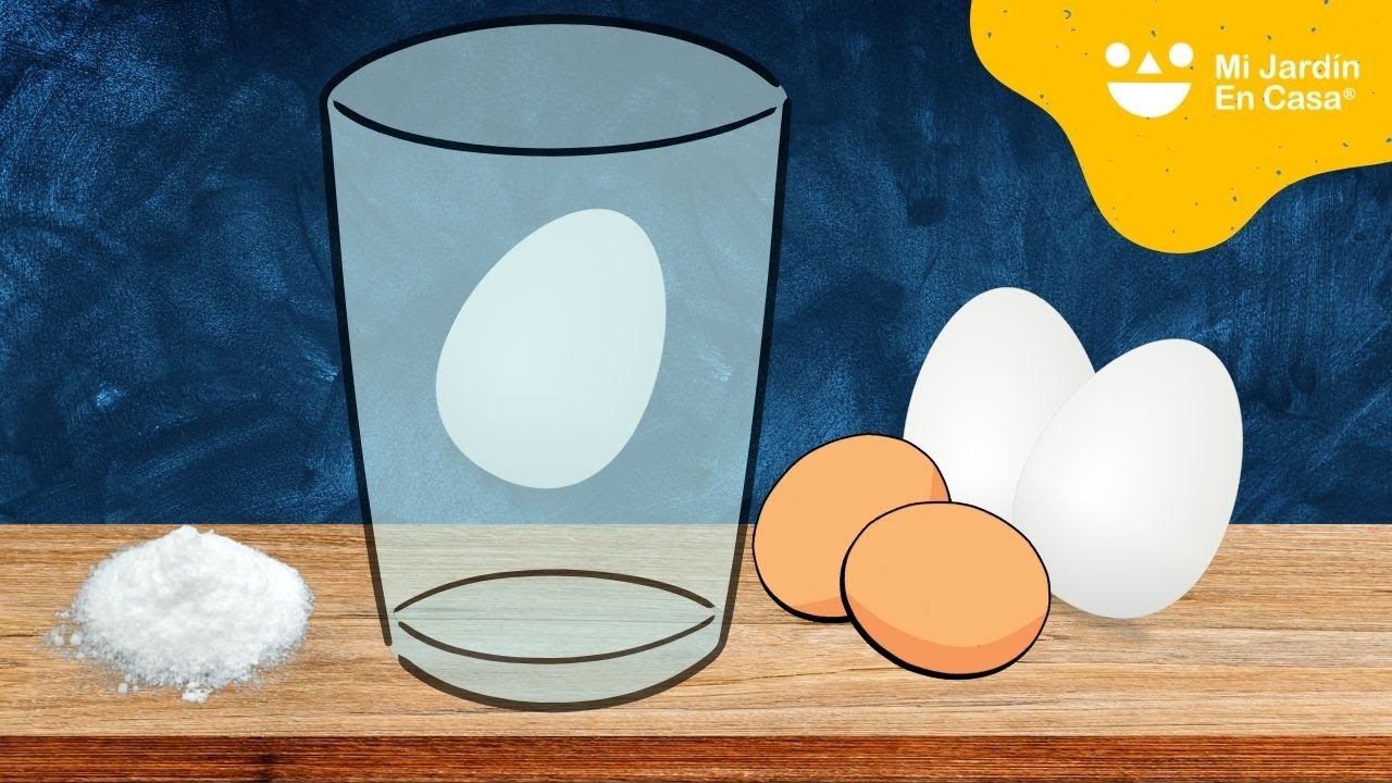 Experimento Huevos Mágicos - YouTube