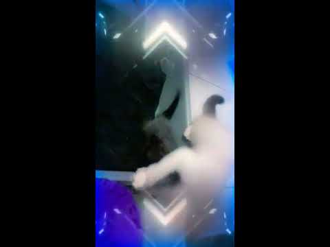 Menjaga adik dgn baik
