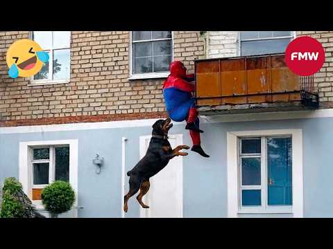 Try Not To Laugh 🤣 TOP 150 Craziest Videos Ever 2026! 😂 | Funny Videos Compilation 2026 #259