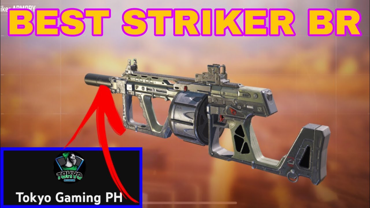 @tokyogamingph21 BEST Striker Gunsmith I CODM BR - YouTube