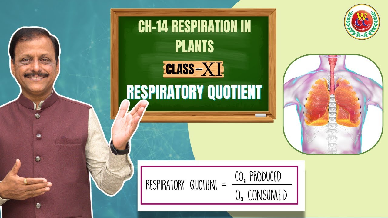 Respiratory Quotient | Ch-14 Respiration in Plants | Class 11 | CBSE ...
