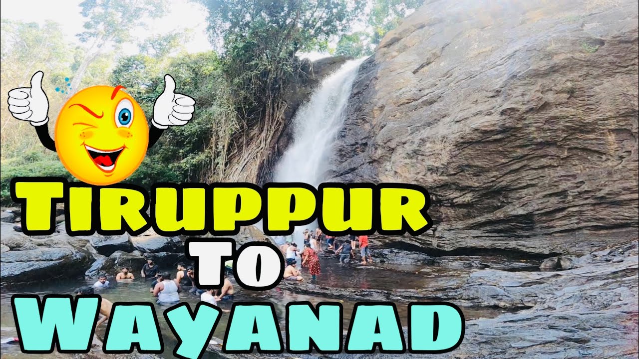 Soochipara Waterfalls 😡| Wayanad a biggest Falls | beautiful place 🥰|# ...