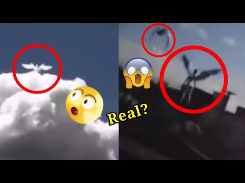 6 ANGELES Reales CAPTADOS Por CAMARA CASUALMENTE 😇😲| VIDEOS DE TERROR ...