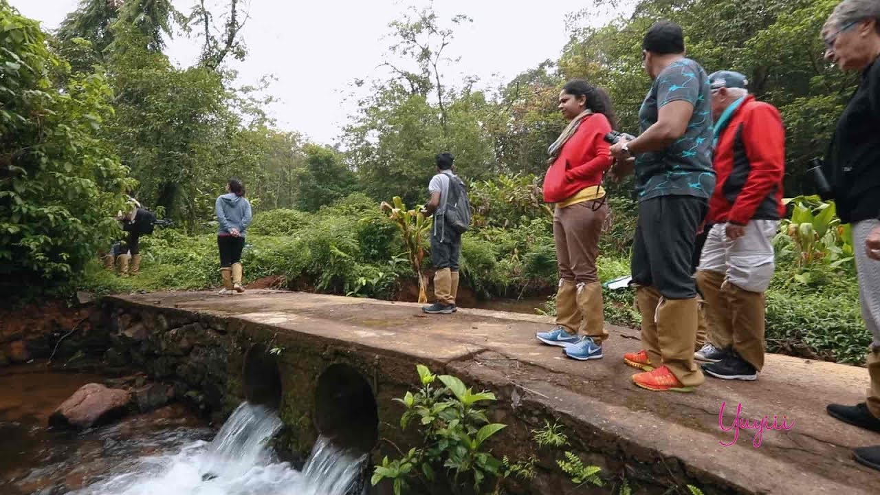 Wayanad Wild Naturewalk Capsule - YouTube