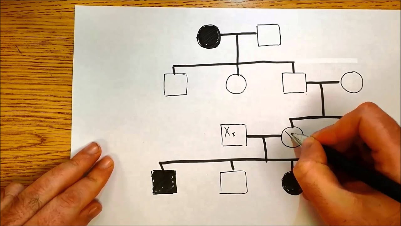 Genetics Puzzles - YouTube
