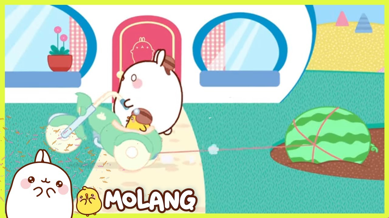 Molang - The competition | Comedy Cartoon | More ⬇️ ⬇️ ⬇️ - YouTube