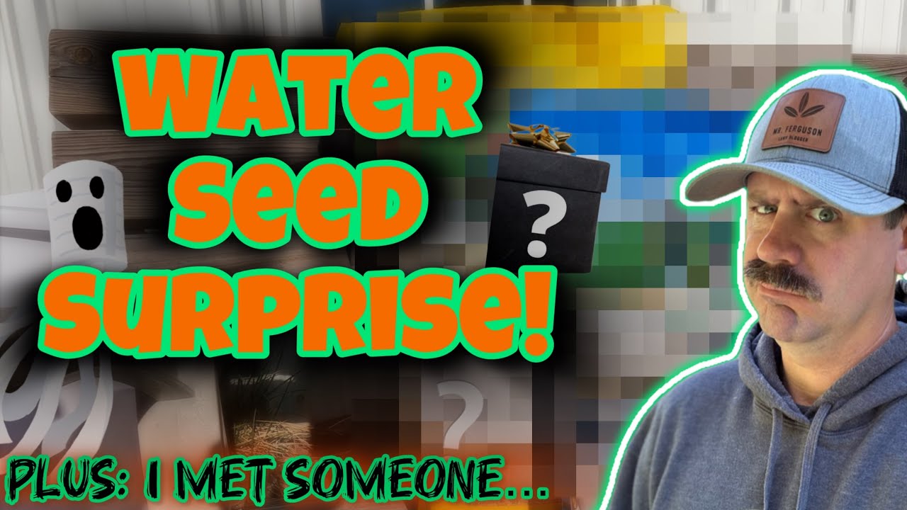 Let’s Hope This Will Work (plus a surprise) - YouTube
