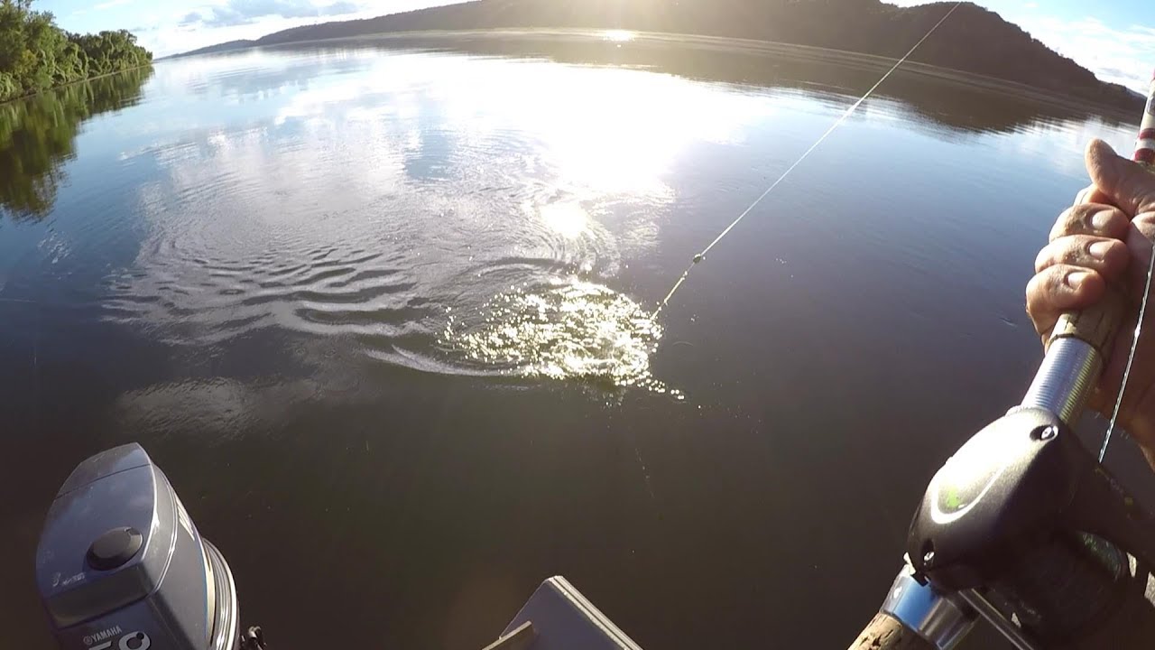 Catfishing With Rod Holders! - YouTube