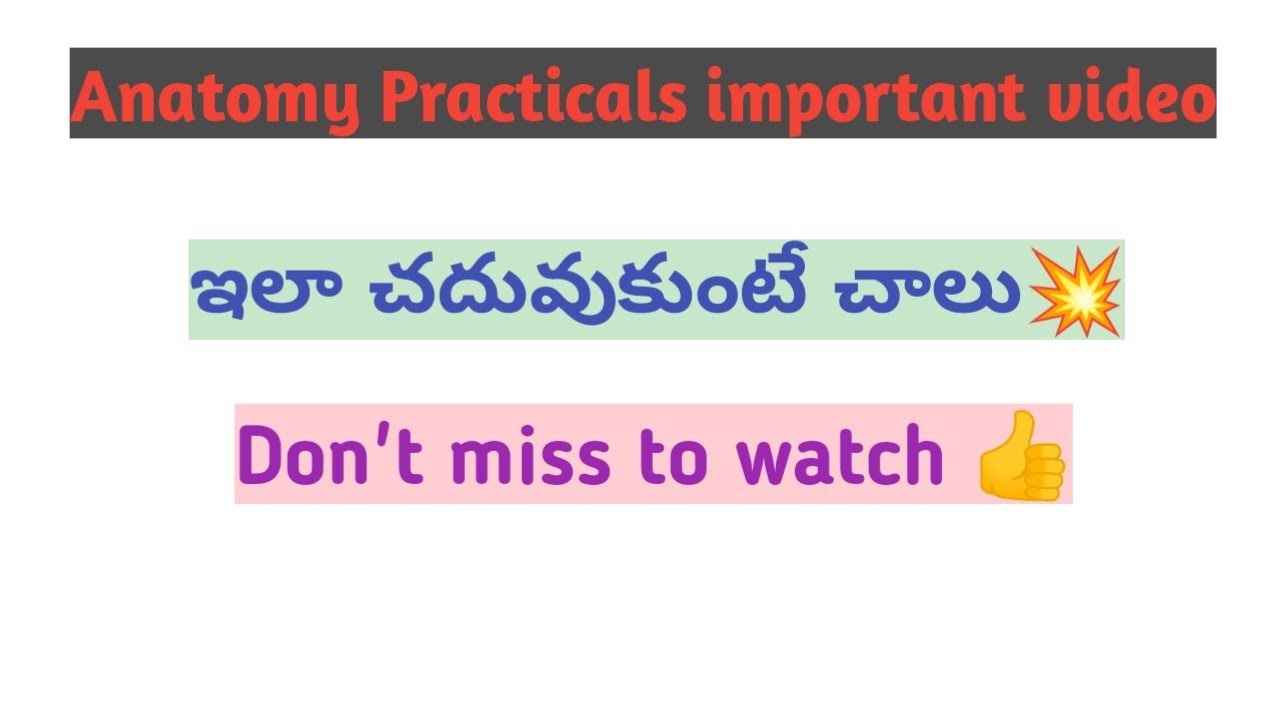 BPT first year anatomy practicals imp video👍 - YouTube