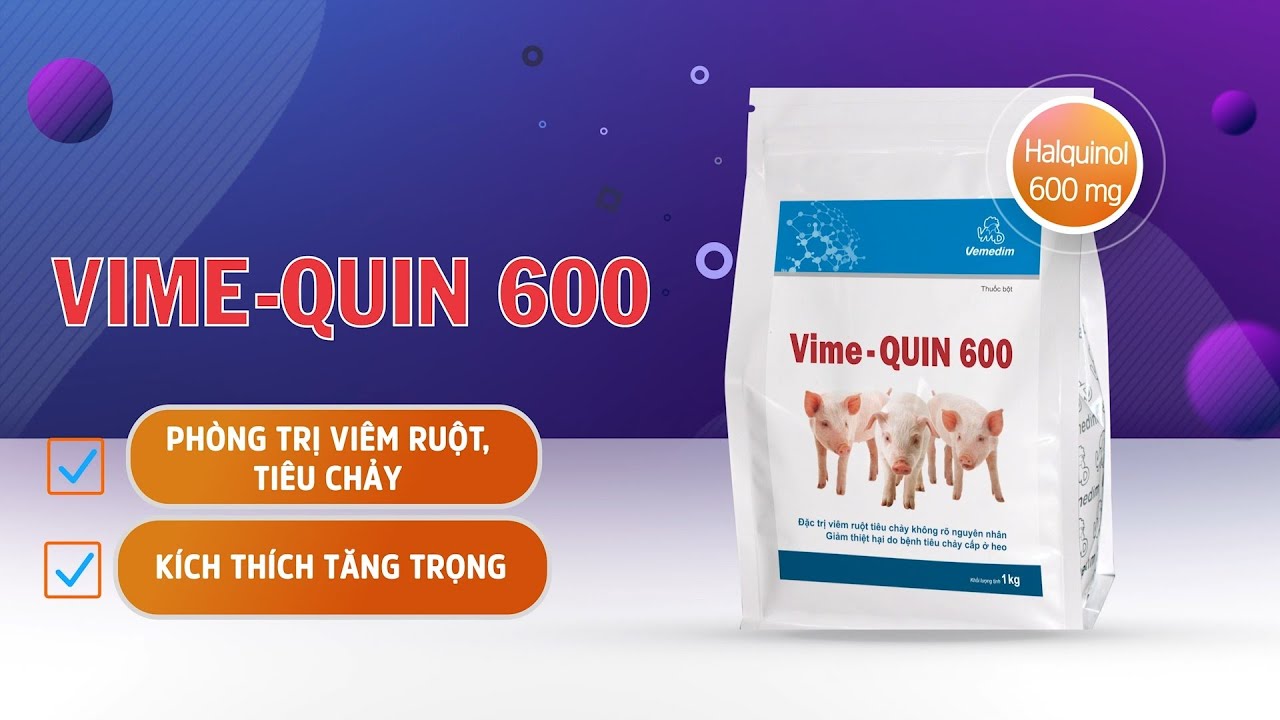 Vime-QUIN 600 | VEMEDIM - YouTube