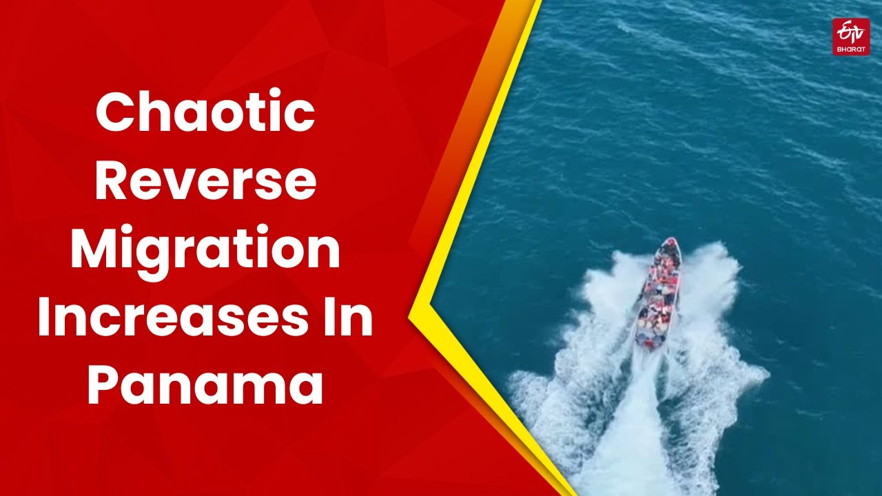 Chaotic Reverse Migration Increases In Panama - YouTube
