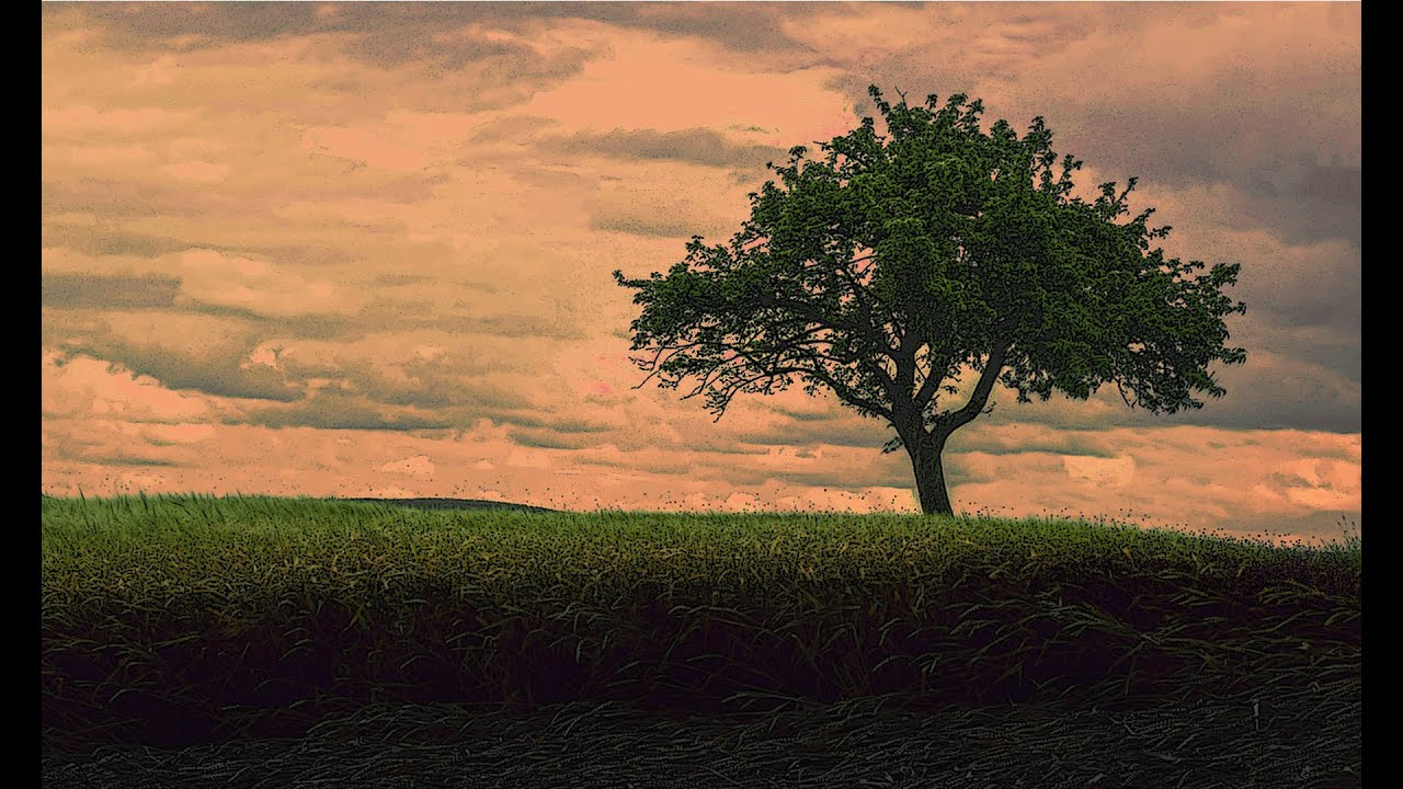 Day without sun - YouTube