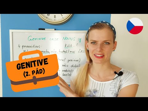 Czech Genitive Case Explained 📙Singular Nouns