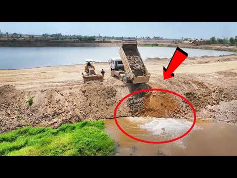 Nonstop Earthwork! 5-Ton Trucks Dump Soil for Dozer to Fill Flooded Area