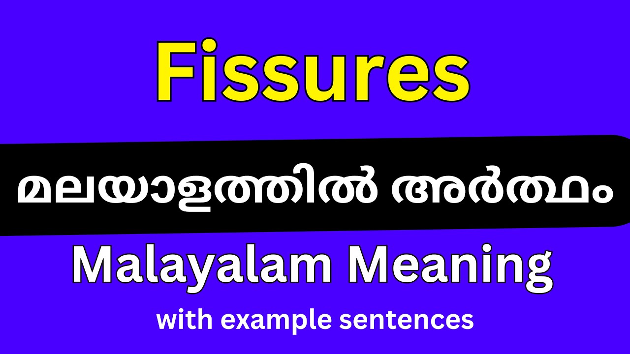Fissures meaning in Malayalam/Fissures മലയാളത്തിൽ അർത്ഥം - YouTube