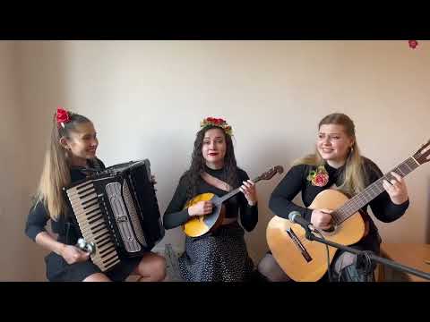 “Habibi ya nour el ein”/«Хабиби», accordion, domra, guitar #accordion #habibi #amr_diab #arabic