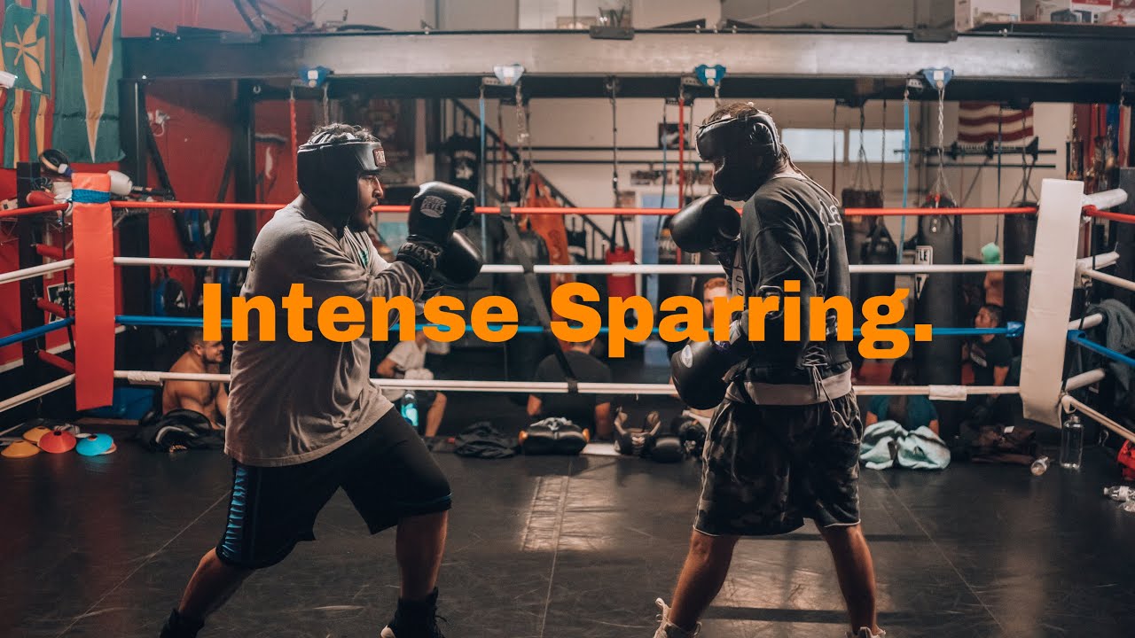 Boxing Photography | INTENSE SPARRING SESSION! - YouTube