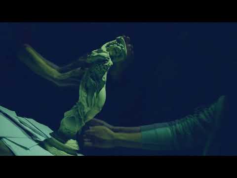 III BTF #26. Mən dəlinin rəssamı - Elza Seyidcahan, 2017