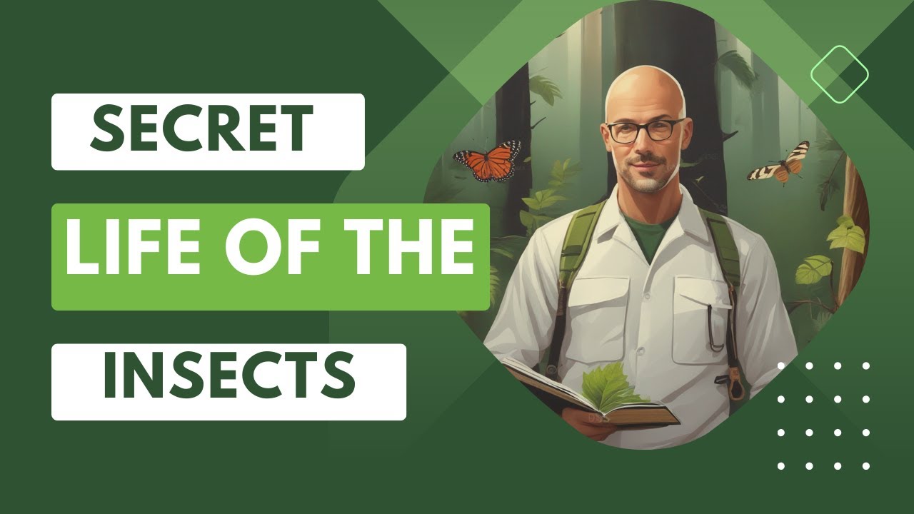 Secret Life of the Insects - YouTube