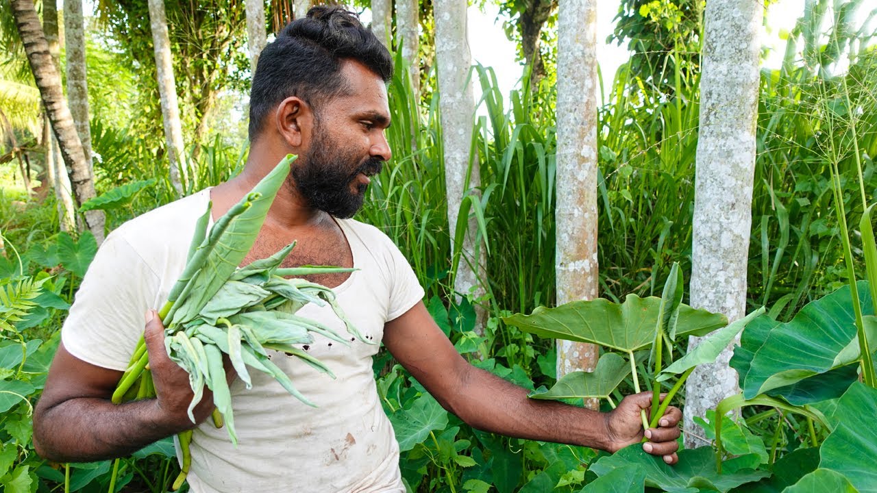 Taro Leaves recipe in village style | Village cooking recipe - Ala kola ...